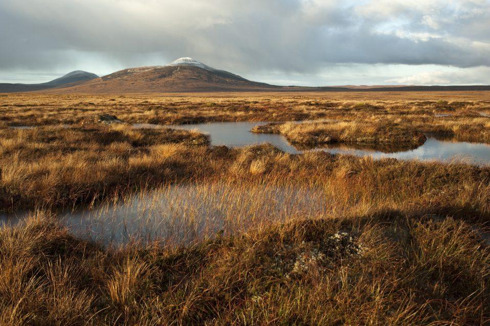The Flow Country - The Stirling Smith Art Gallery and Museum